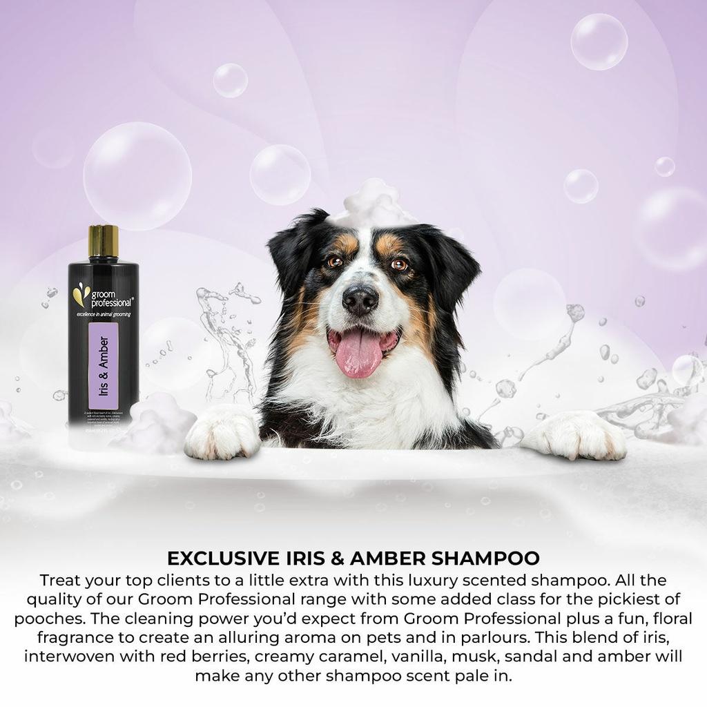Groom Professional Iris & Amber Shampoo[Volume - 4 litre, Flavor - Iris ...